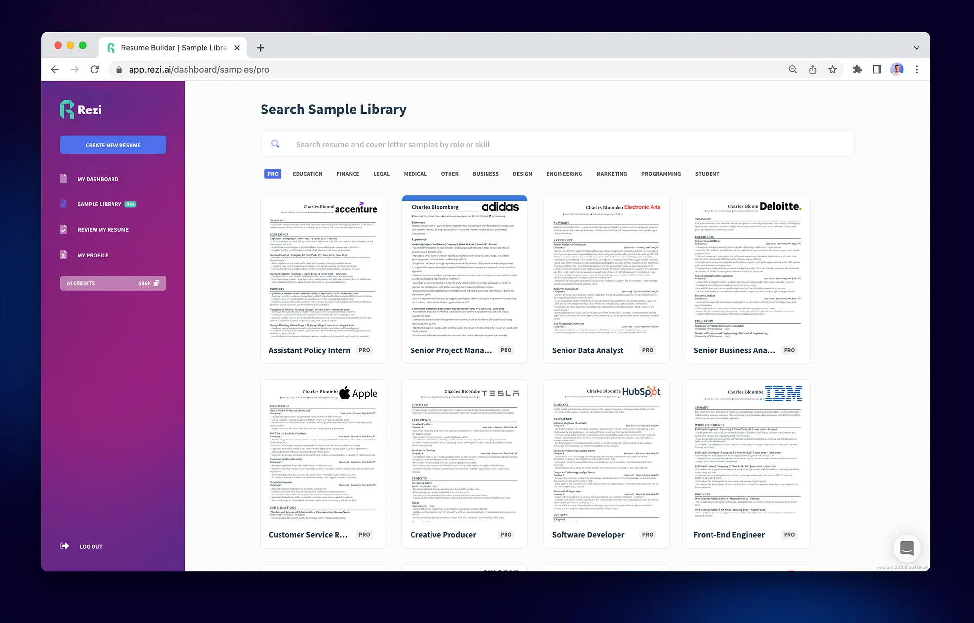Rezi User Docs - Resume Examples